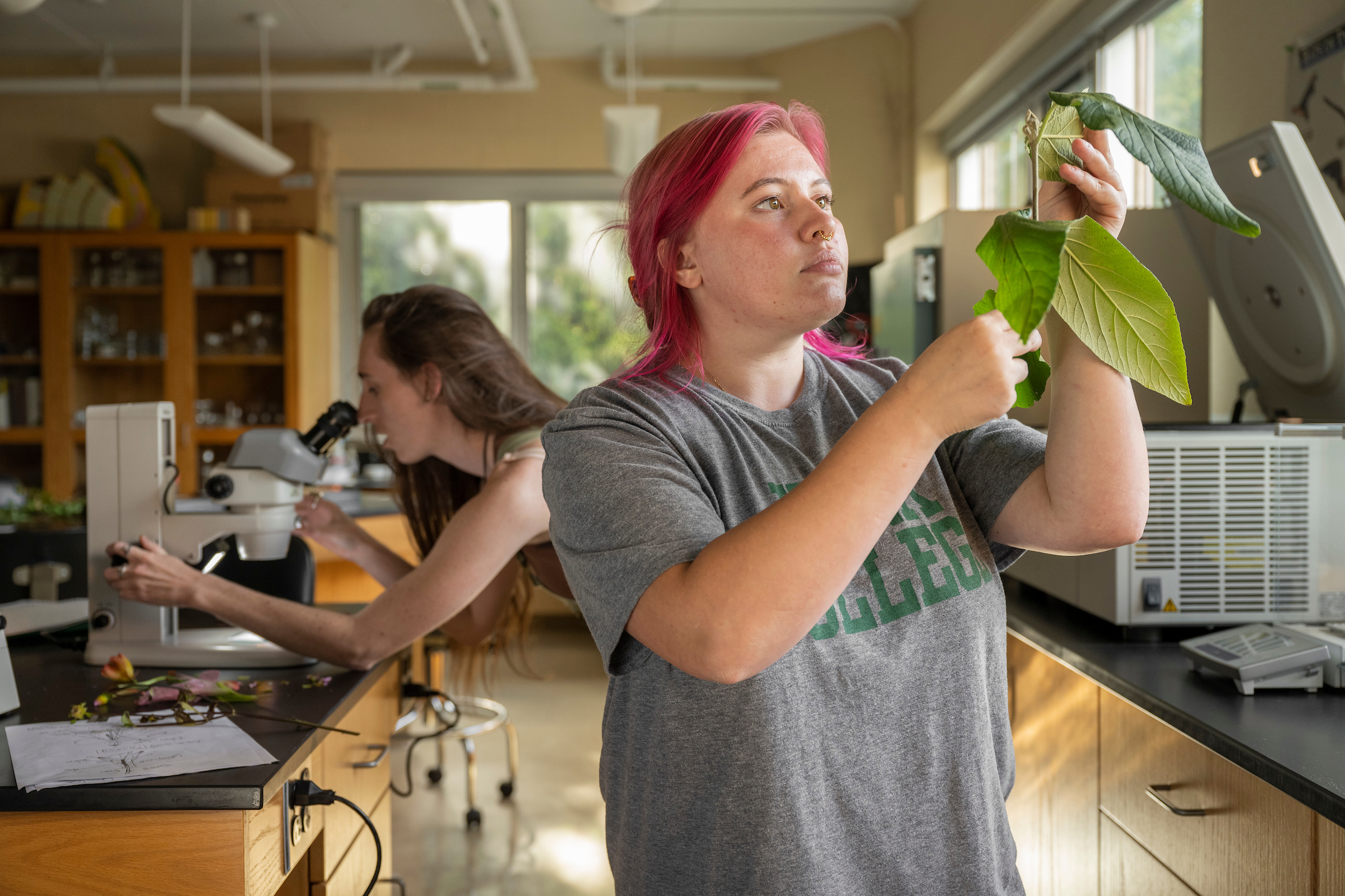 Environmental Horticulture | York College of Pennsylvania