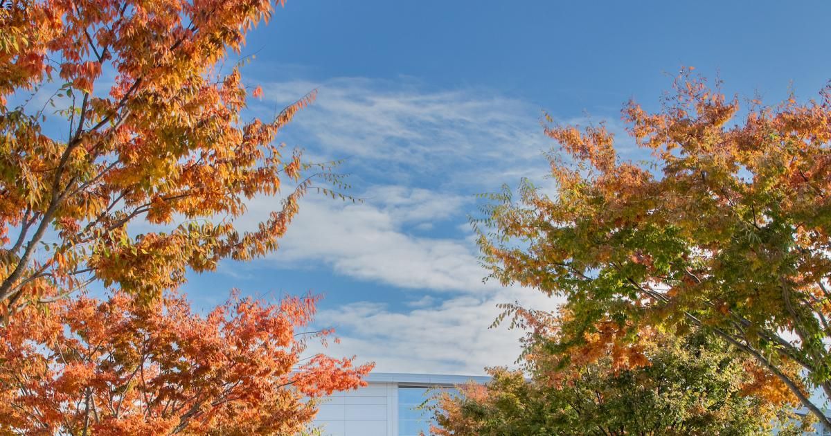 Fall Orientation Schedule | York College of Pennsylvania